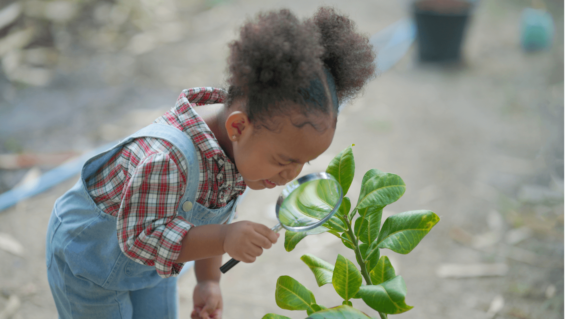 What is Infant and Toddler Montessori all About? | Becks Montessori Blog